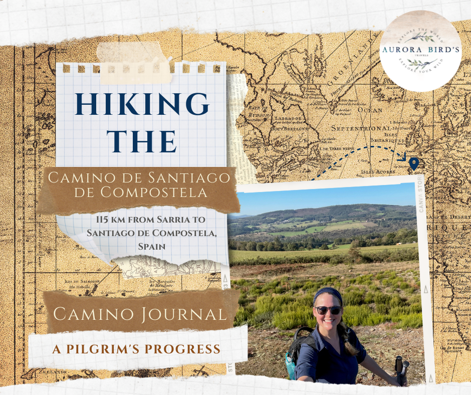 Hiking The Camino de Santiago de Compostela. (the what?) - Aurora Bird ...